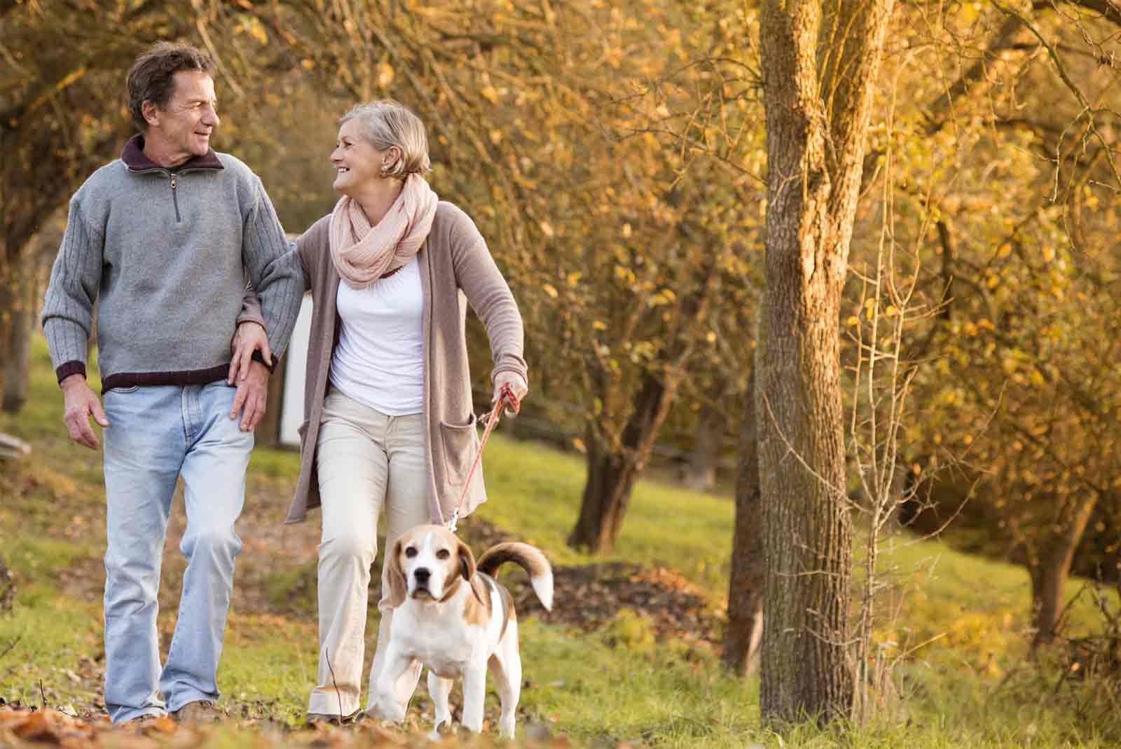 Promoting Positive Life, Living, Longevity, and Positive Aging